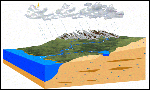 Roots for Resilience (R4R)-A Fellow's Perspective | Data Science Institute Roots for Resilience (R4R)-A Fellow's Perspective | Data Science Institute